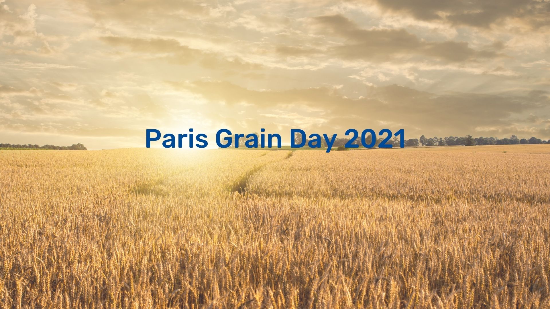 Paris Grain Day 2021 : les cours des grains estimés à la hausse pour la ...